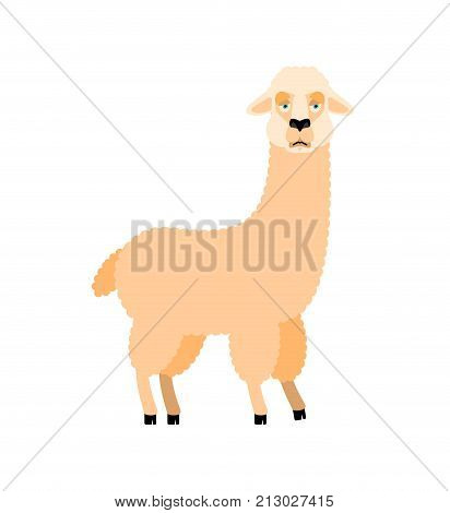 Lama Alpaca Sad. Vector & Photo (Free Trial) | Bigstock