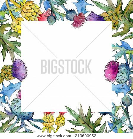 Thistle Border Images, Illustrations & Vectors (Free) - Bigstock