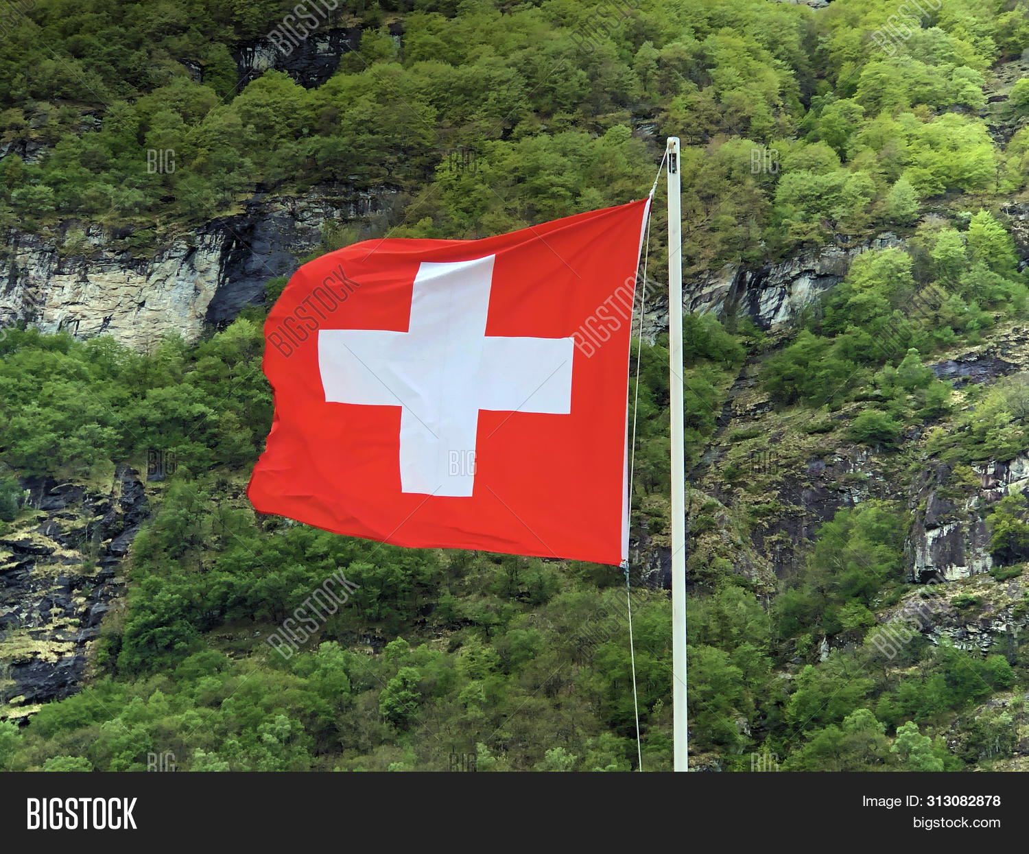 Swiss National Flag