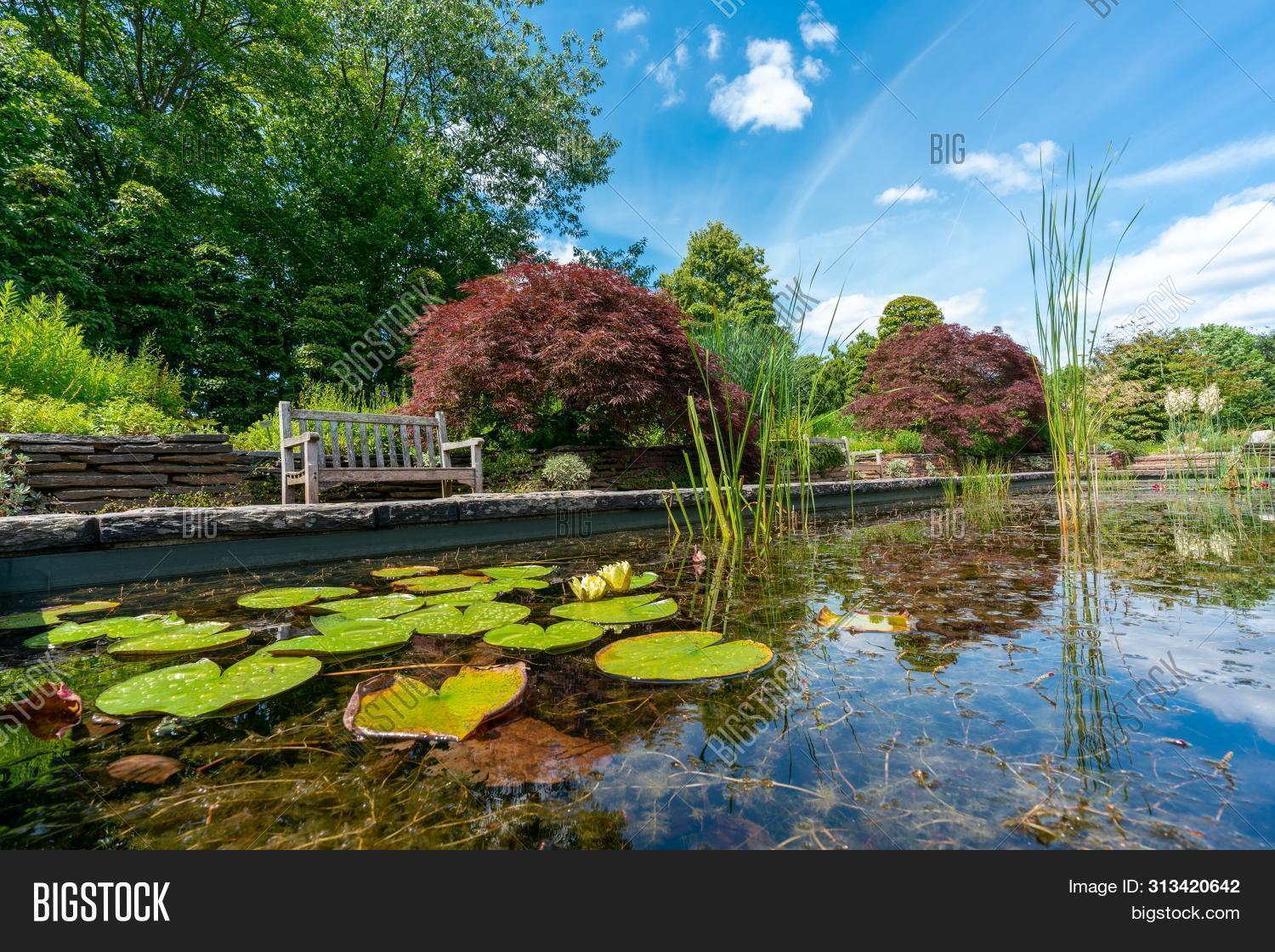 Formal Rectangular Image & Photo (Free Trial) | Bigstock