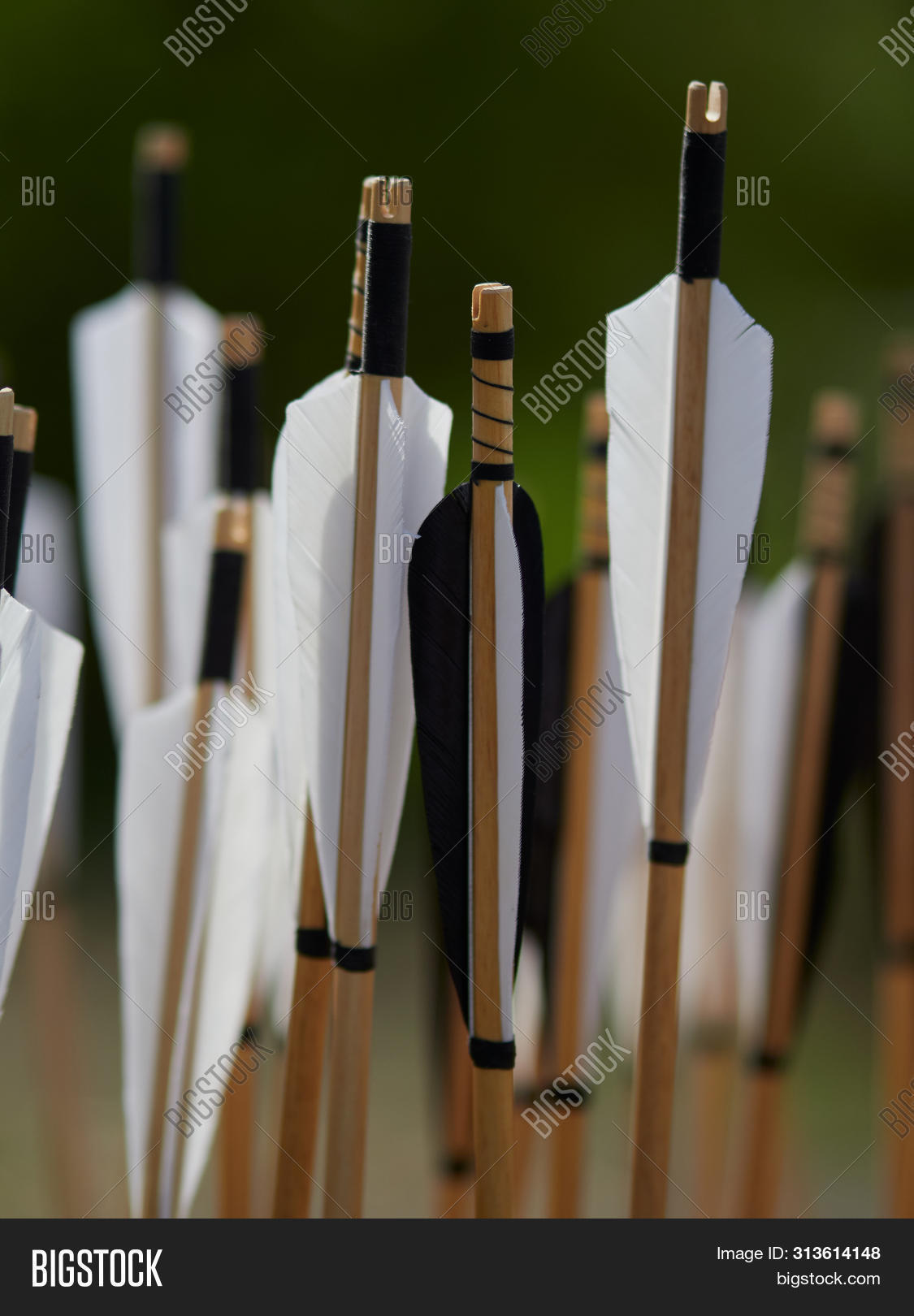 Hand Crafted Arrows Image & Photo (Free Trial) | Bigstock