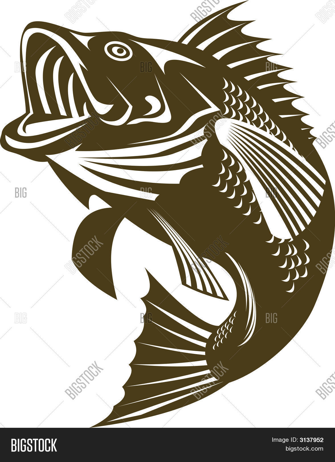 Bass Vector & Photo (Free Trial) | Bigstock