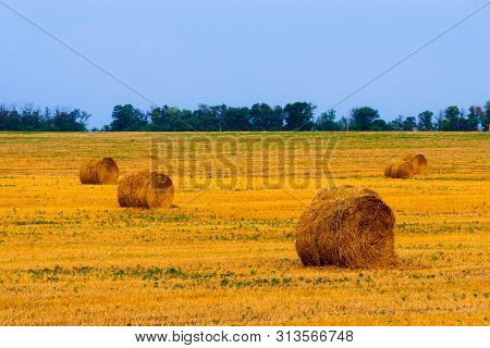 Rolled Haystack On Image & Photo (Free Trial) | Bigstock