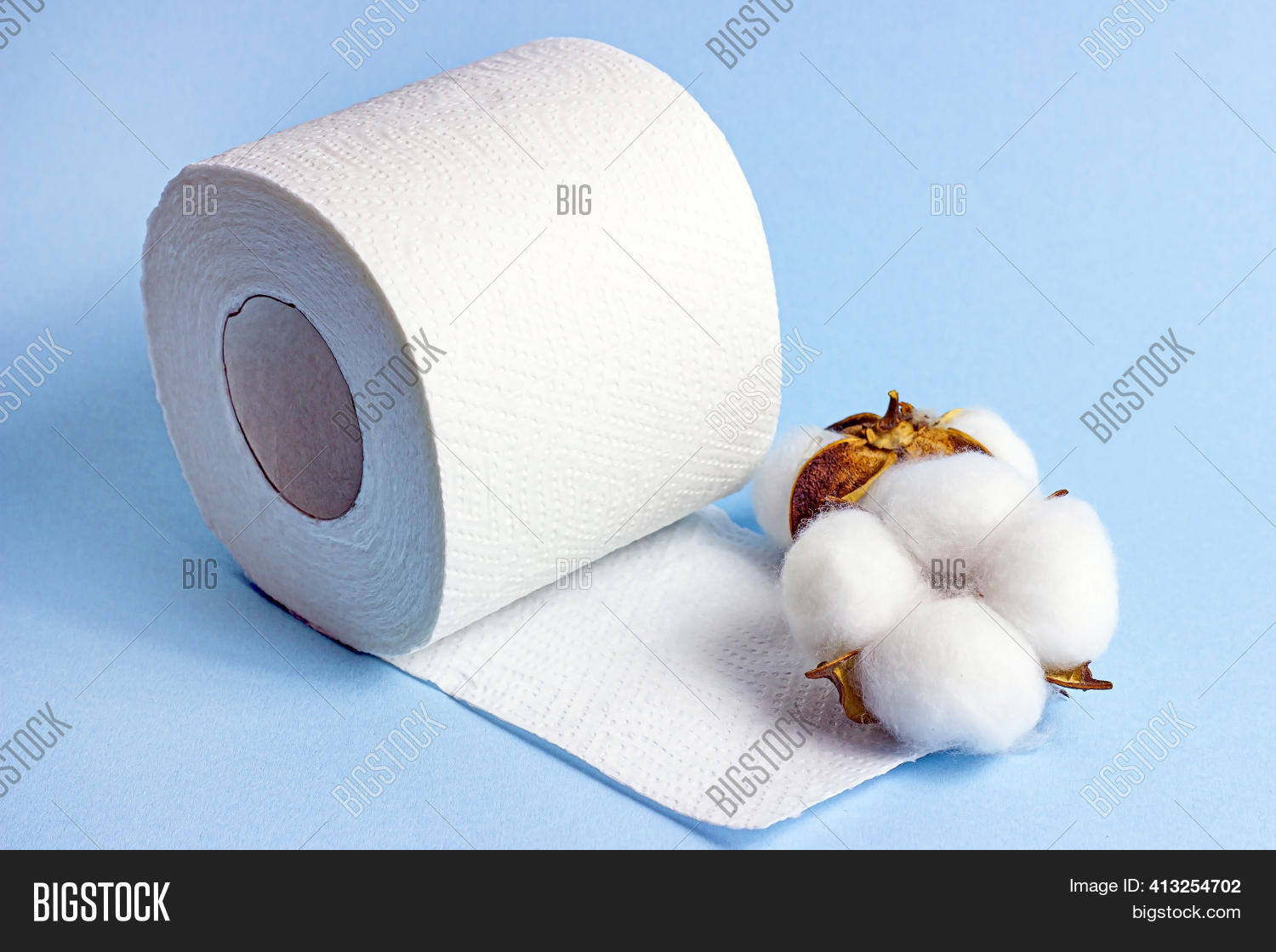 White Toilet 图片和照片（免费试用） | Bigstock