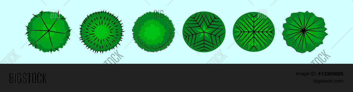 Set Plant Top View Vector & Photo (Free Trial) | Bigstock