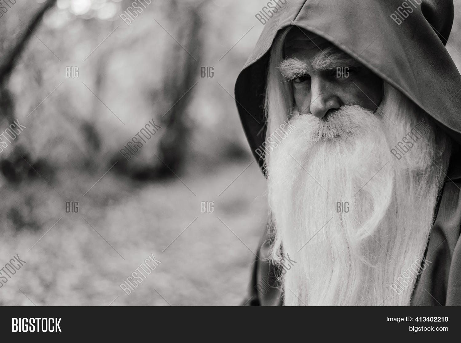 Wizard Long Gray Beard Image & Photo (Free Trial) | Bigstock