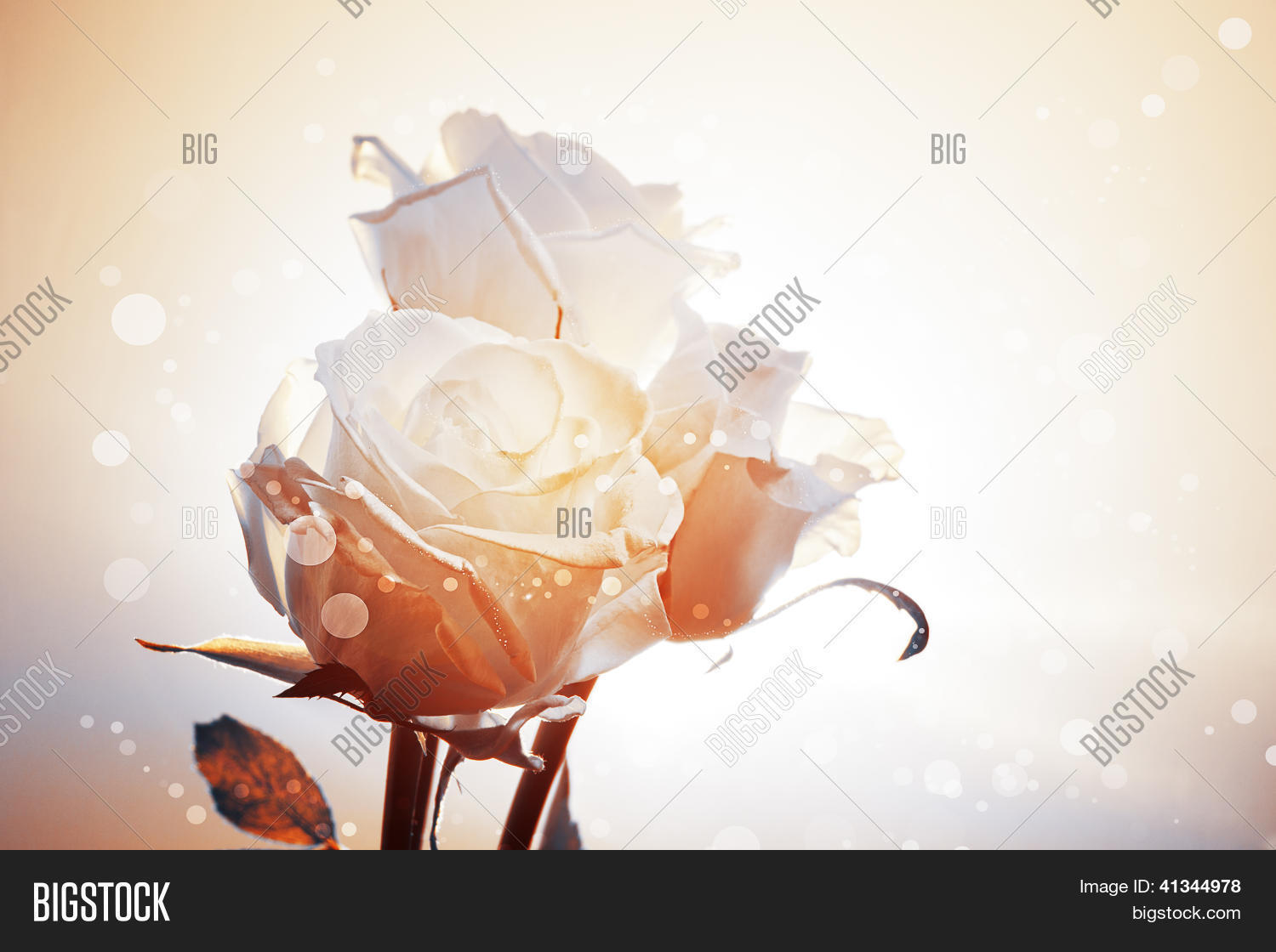 Romantic Background Image & Photo (Free Trial) | Bigstock