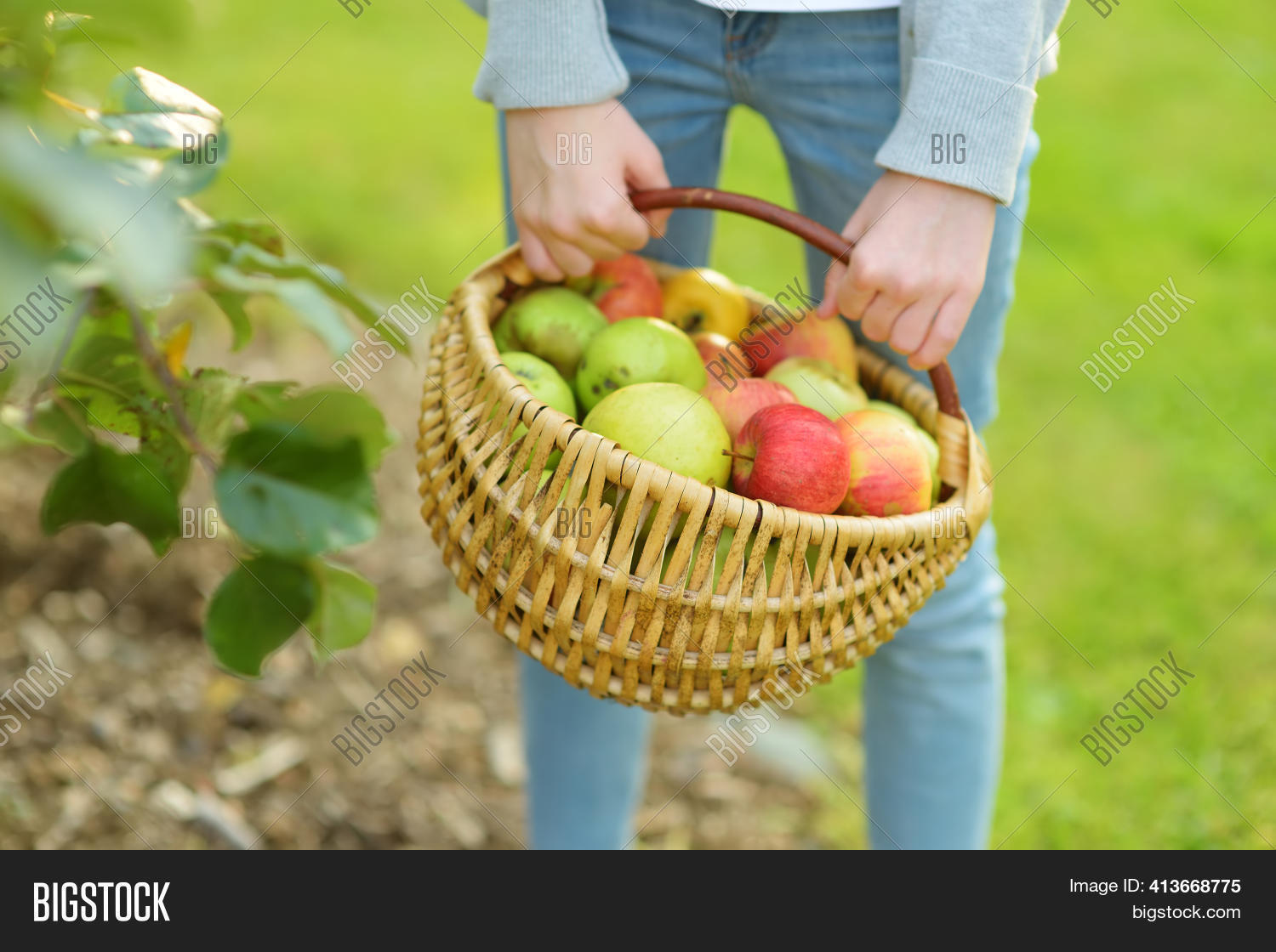 Basket Full Fresh Image & Photo (Free Trial) | Bigstock