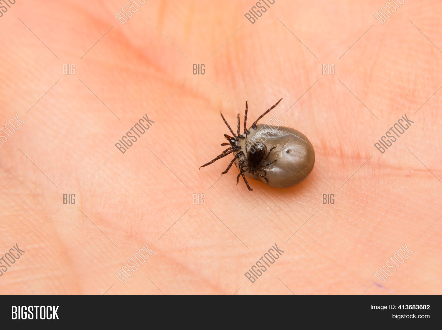 Close- Photo Tick Image & Photo (Free Trial) | Bigstock