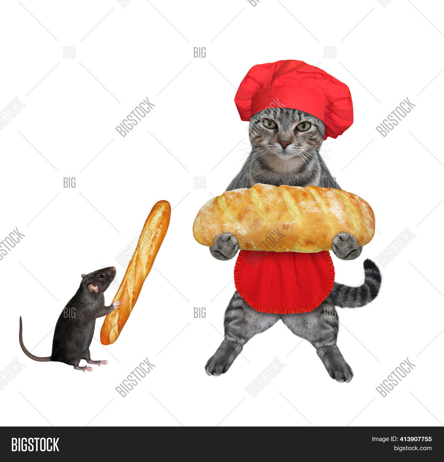 Gray Cat Baker Red Image & Photo (Free Trial) | Bigstock