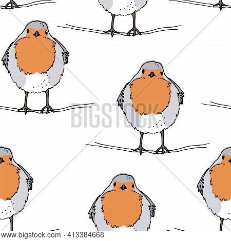 Robin Bird Hand Drawn Vector & Photo (Free Trial) | Bigstock