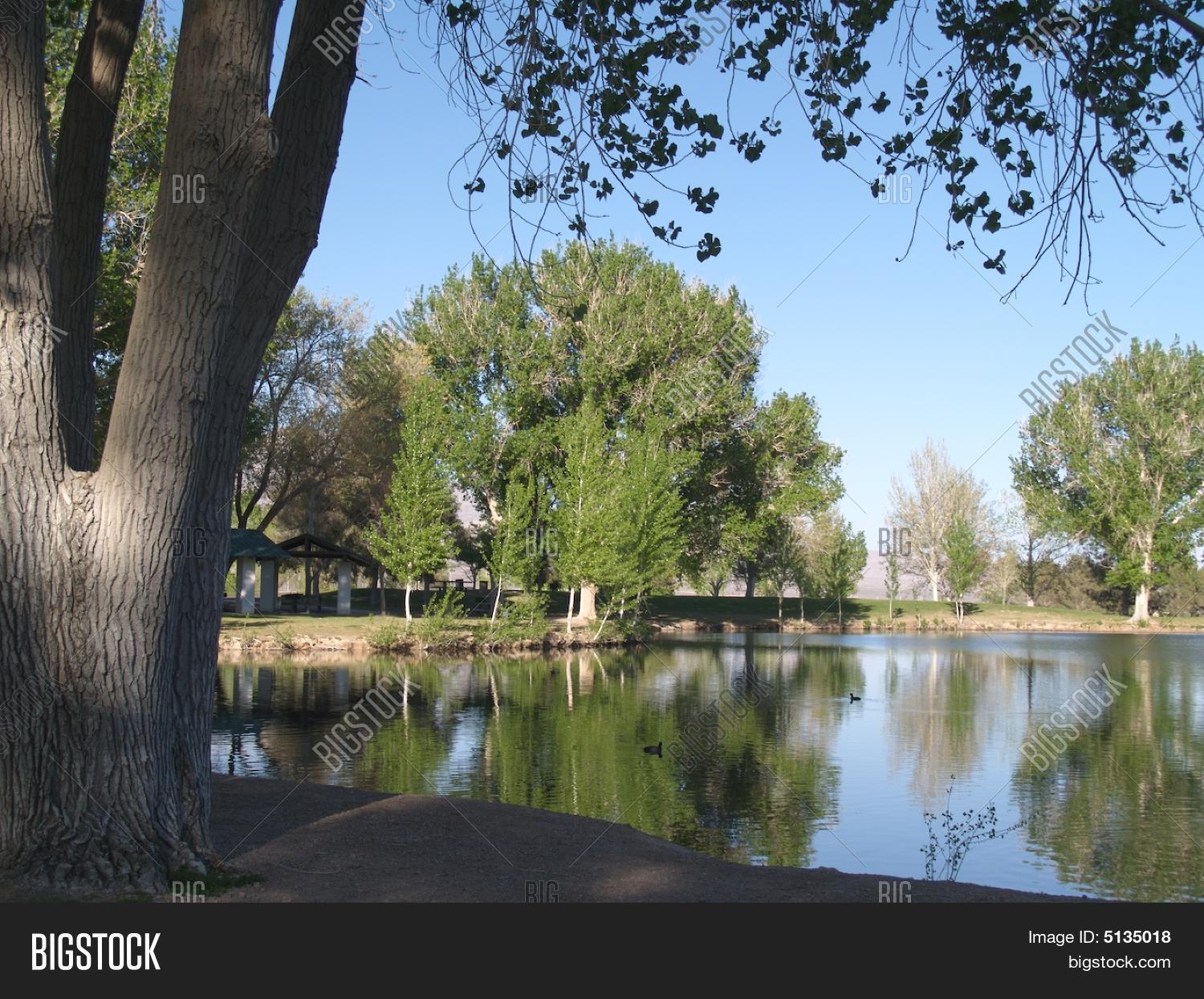 Floyd Lamb Park Image & Photo (Free Trial) | Bigstock