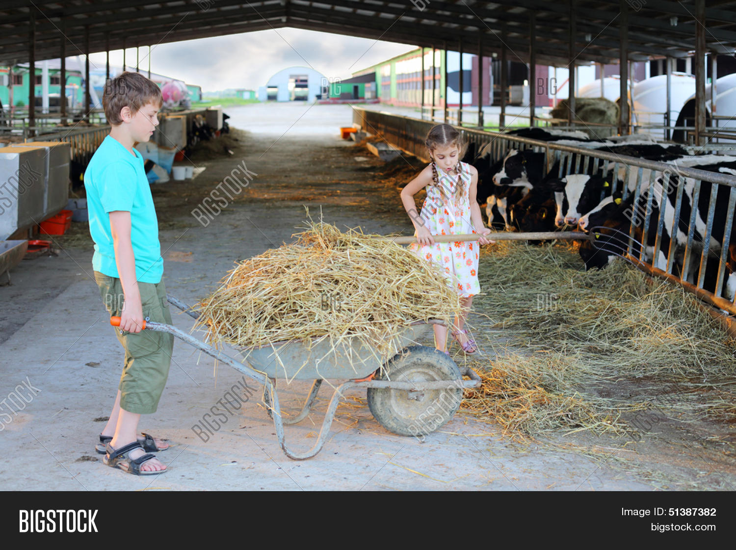 Boy Keeps Trolley Hay Image & Photo (Free Trial) | Bigstock