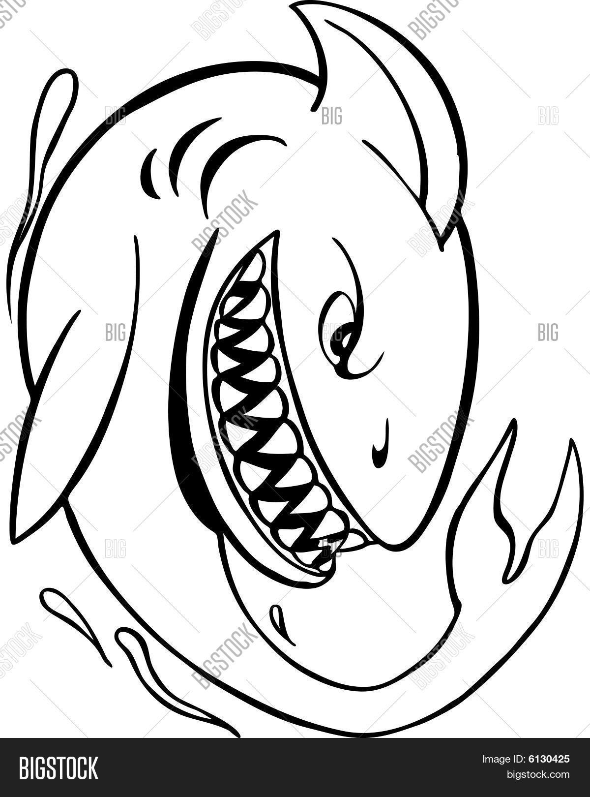 Angry Shark Line Art Vector & Photo (Free Trial) | Bigstock
