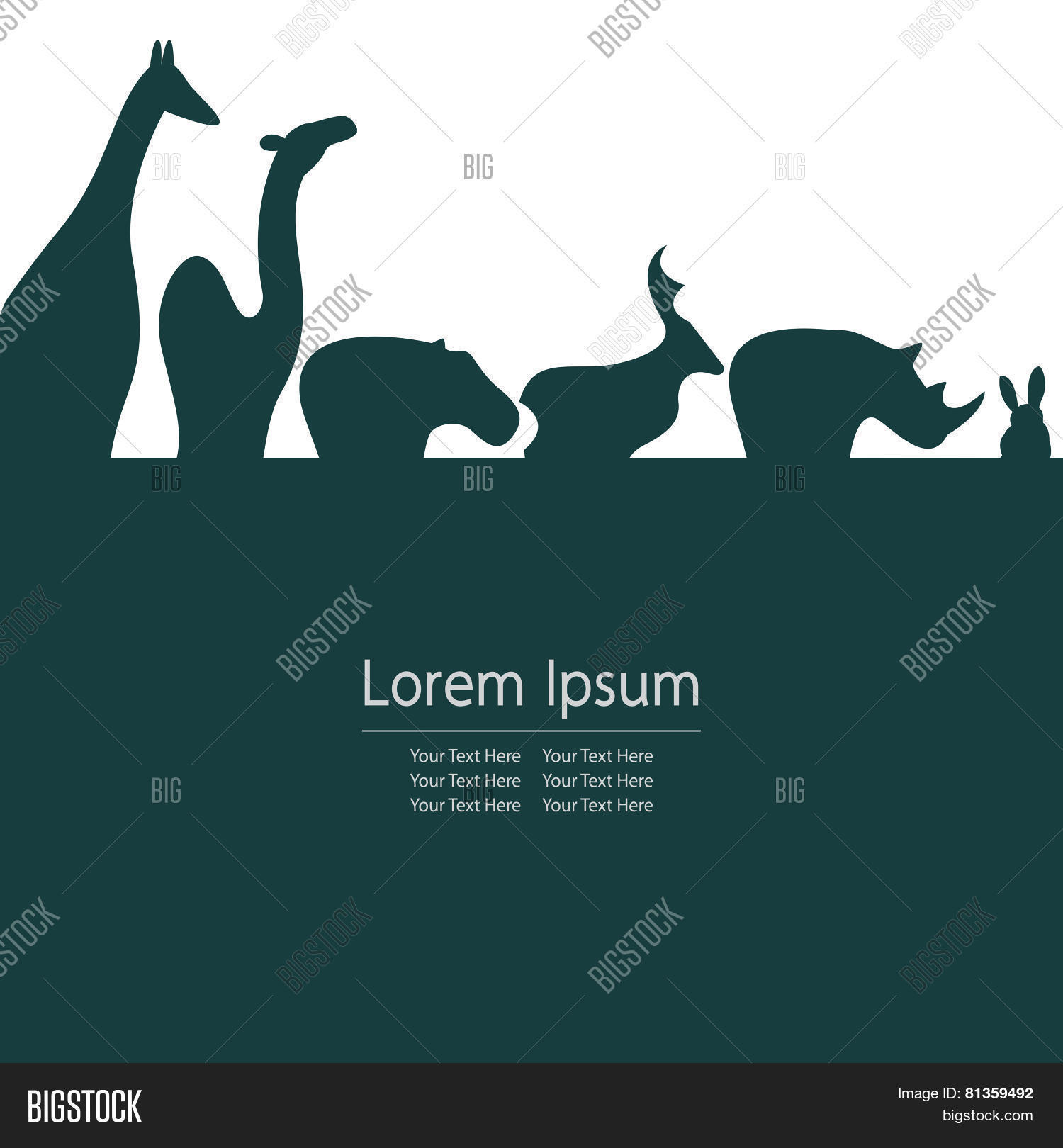 Vector Image Animal Vector & Photo (Free Trial) | Bigstock