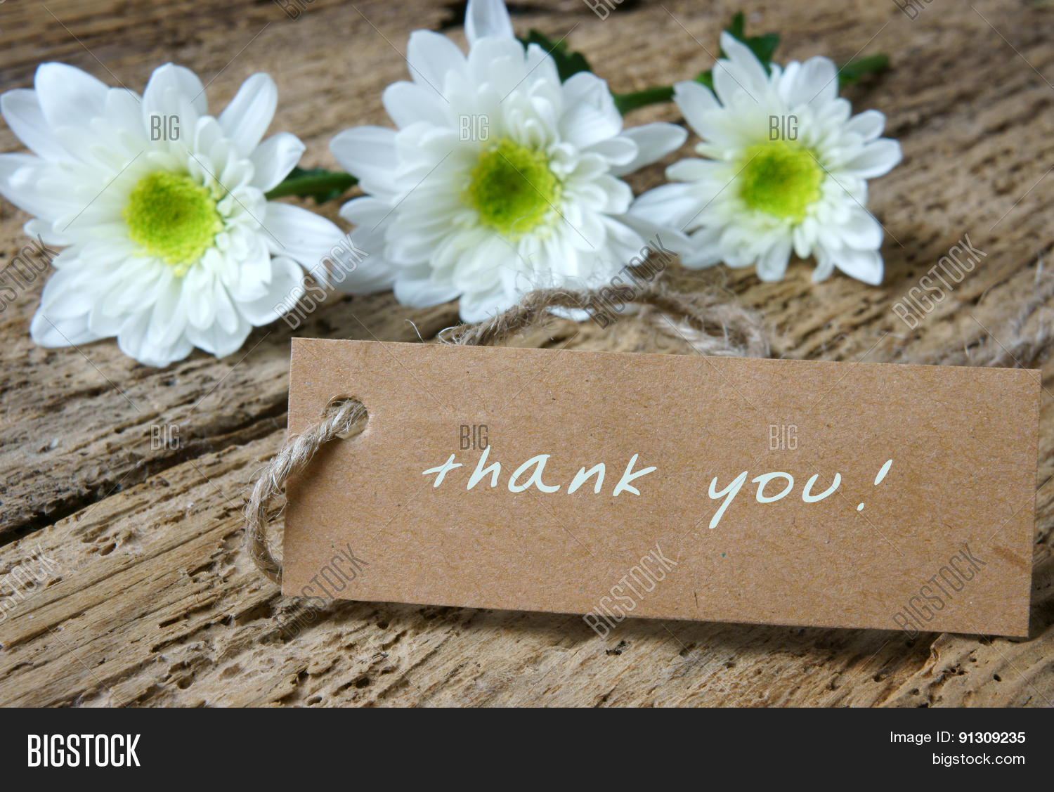 Thank You Background Image & Photo (Free Trial) | Bigstock