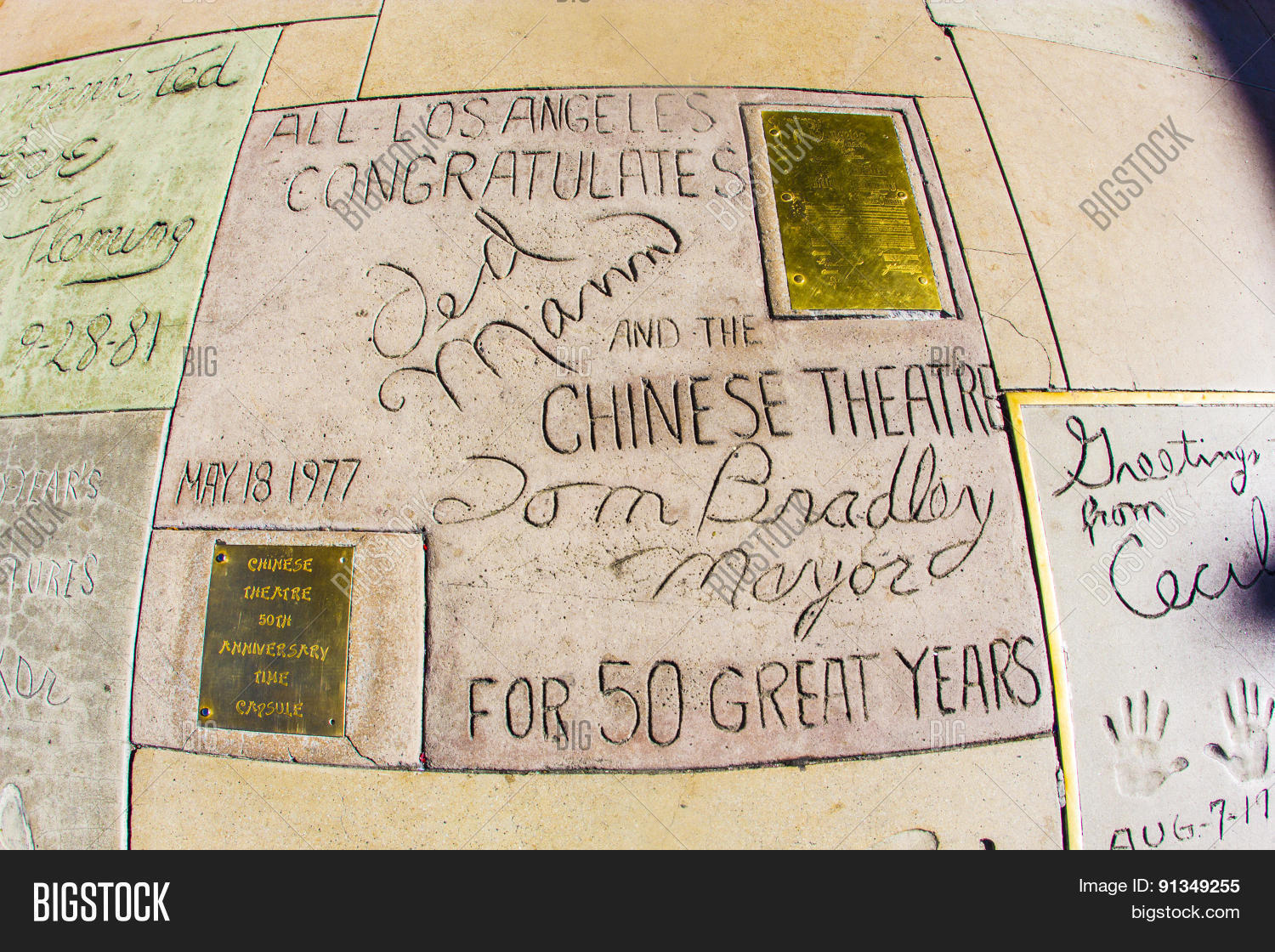 Signature Ted Mann Tom Image & Photo (Free Trial) | Bigstock