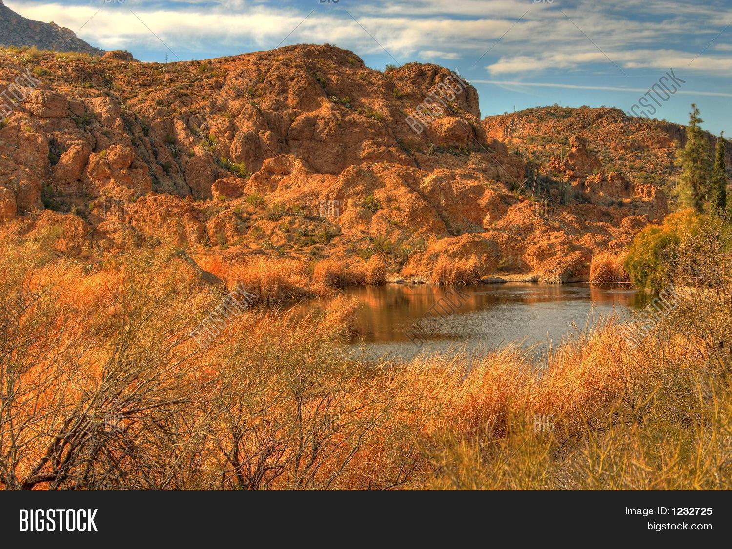 Desert Pond Image & Photo (Free Trial) | Bigstock