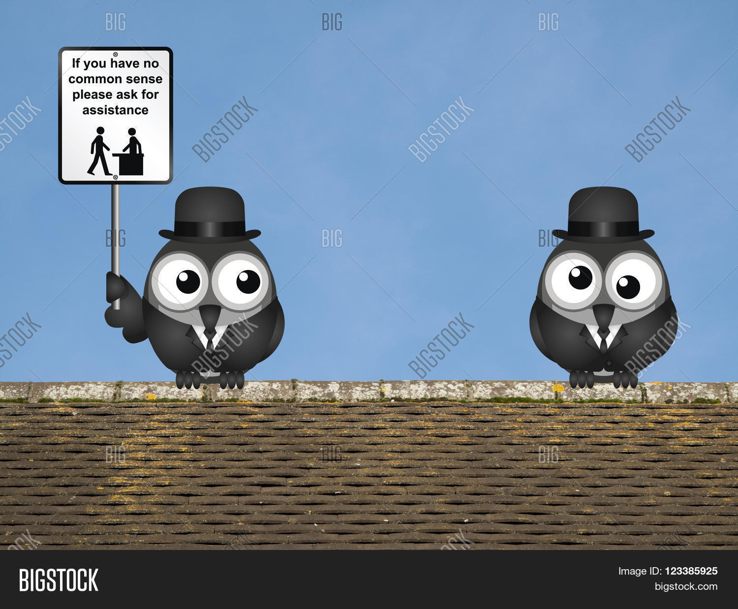 Comical Common Sense Image & Photo (Free Trial) | Bigstock