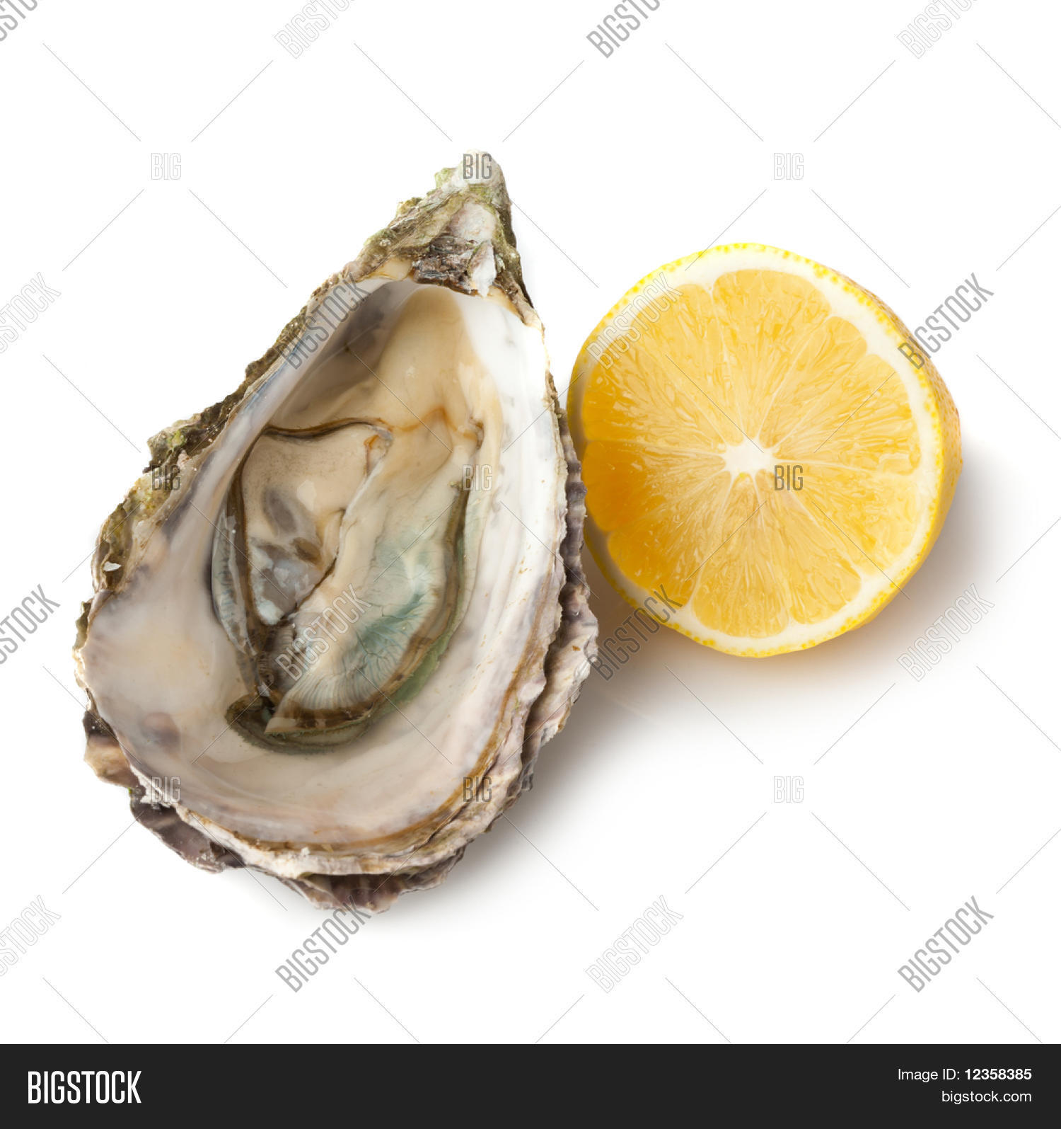 Oyster Lemon Image & Photo (Free Trial) | Bigstock