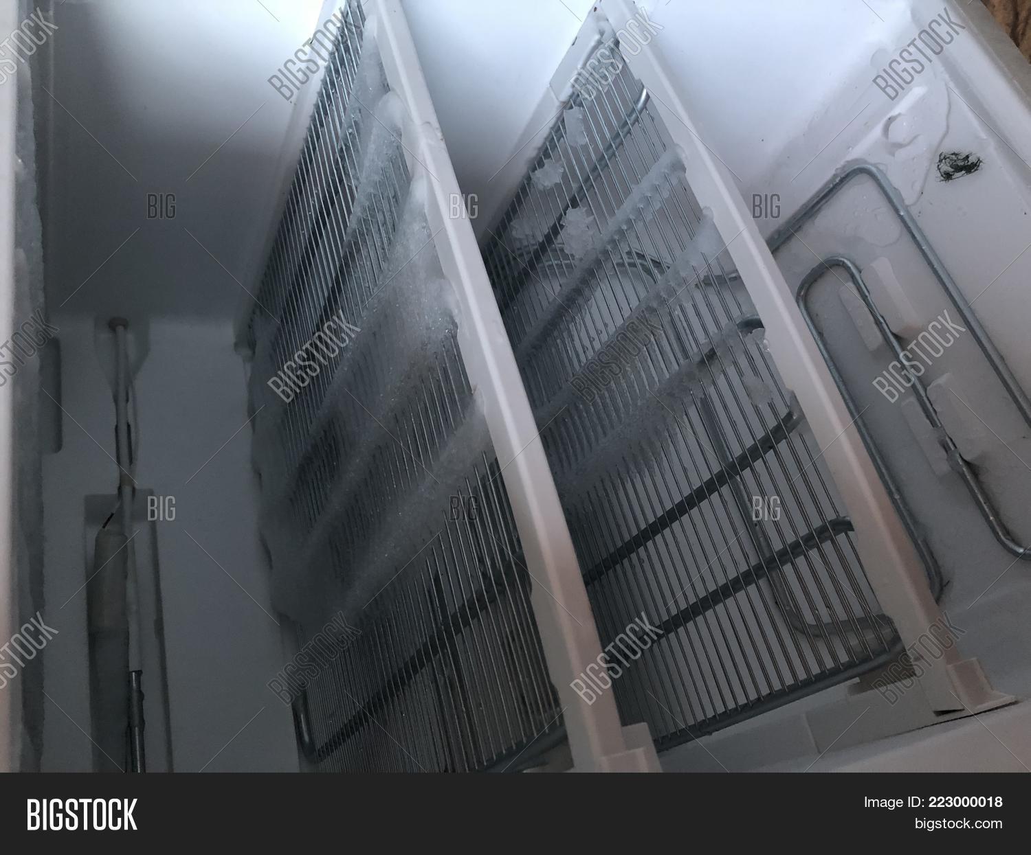 Freezer Compartment Image & Photo (Free Trial) | Bigstock