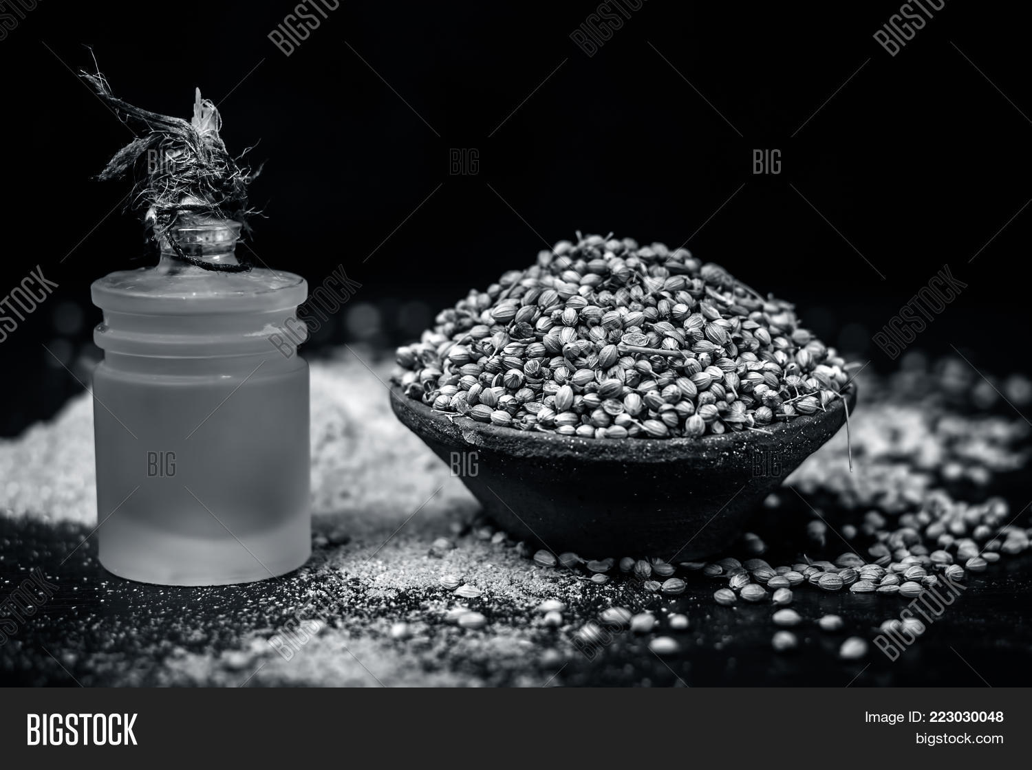 Coriander/coriandrum Image & Photo (Free Trial) | Bigstock
