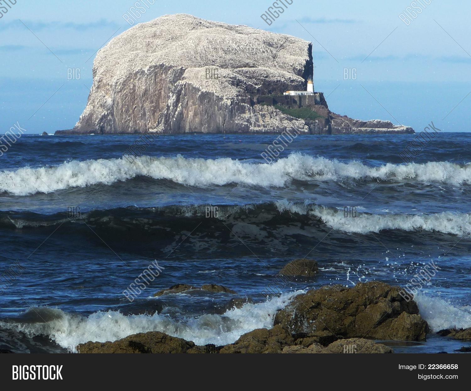 Bass Rock, North Image & Photo (Free Trial) | Bigstock