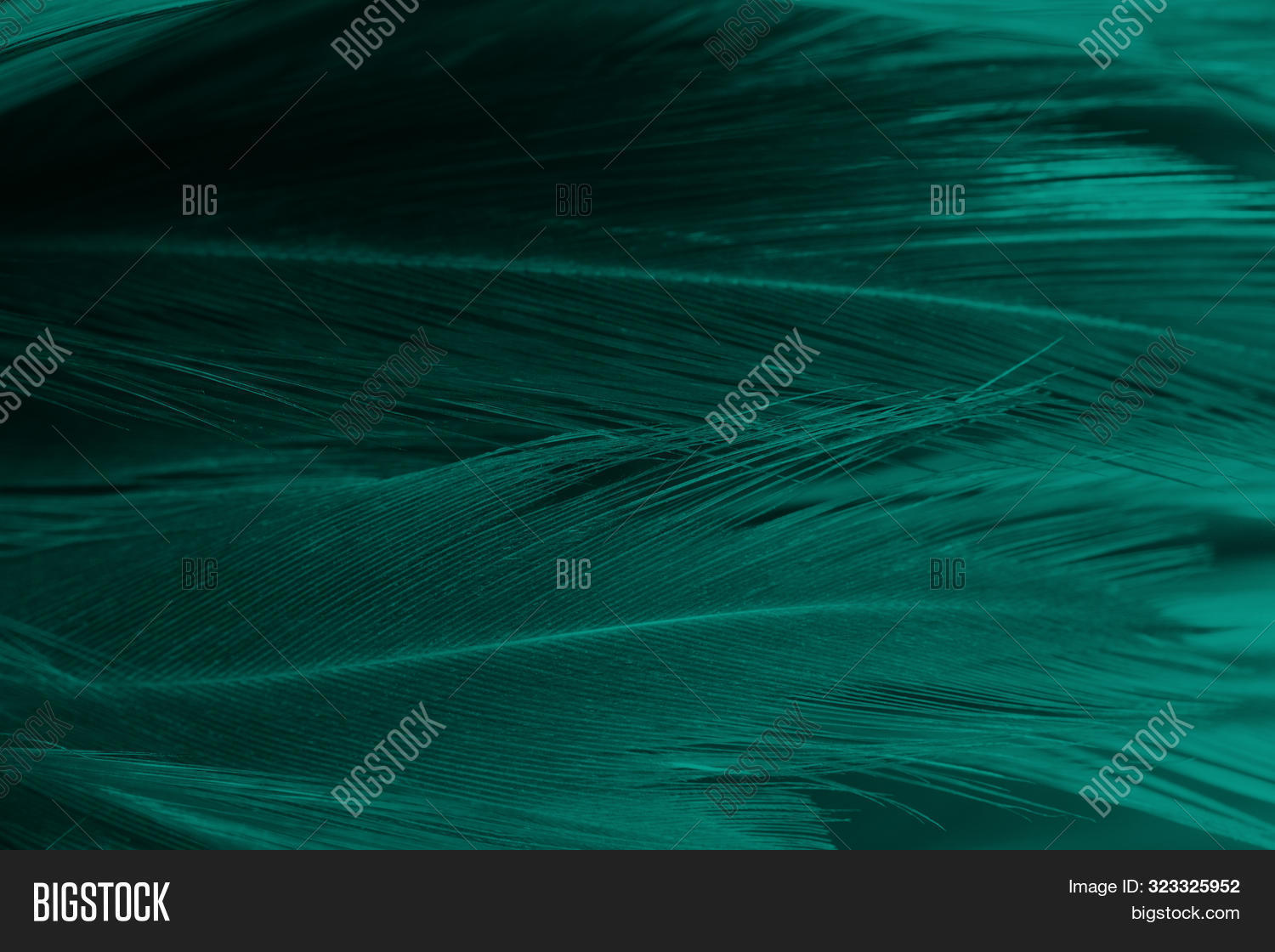 Viridian Green Color