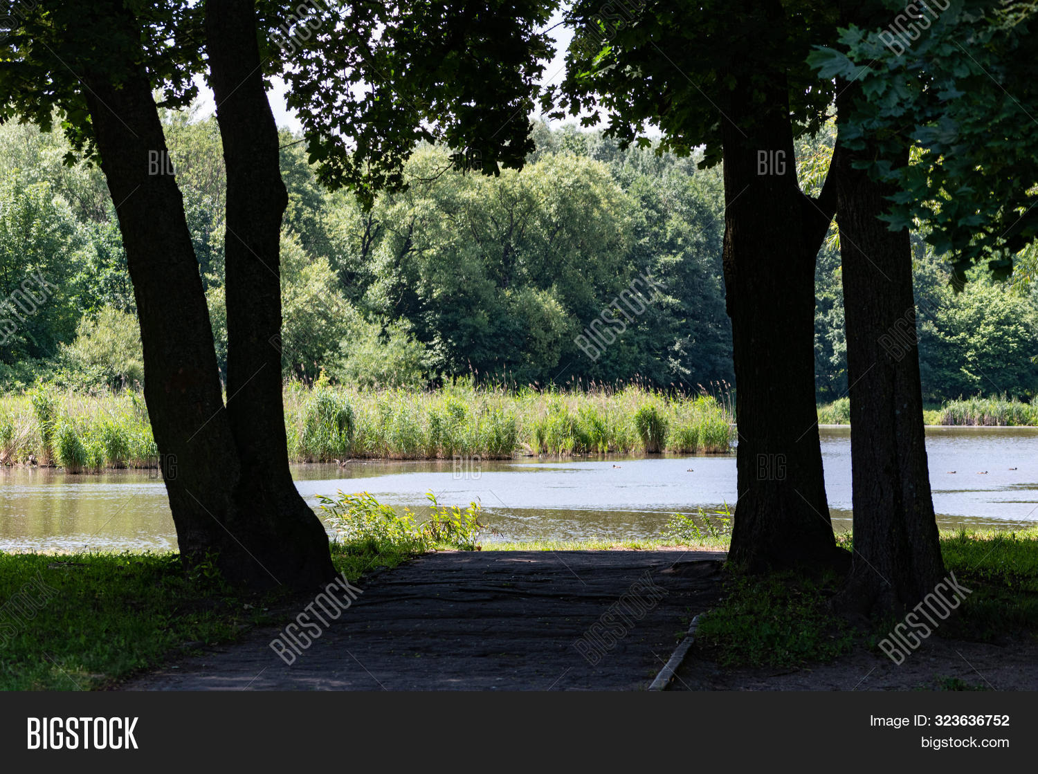 Path Between Two Trees Image & Photo (Free Trial) | Bigstock