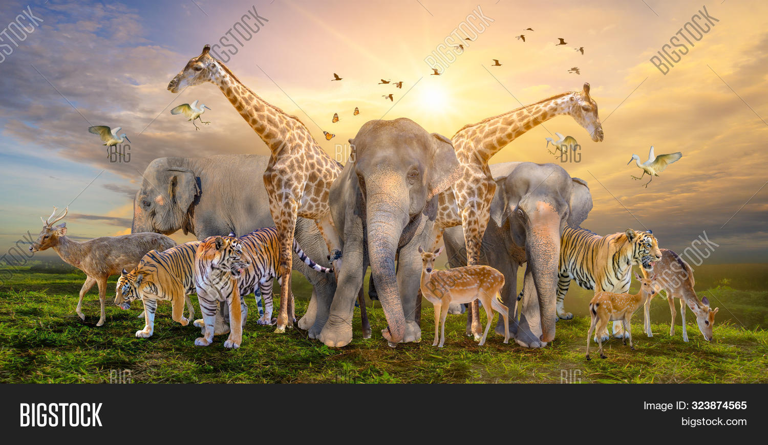 Large Group African Image & Photo (Free Trial) | Bigstock