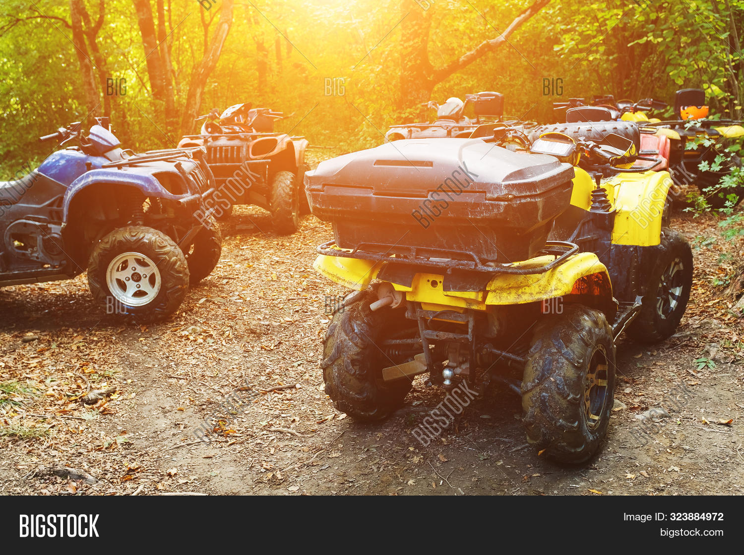 Group Atvs Forest Image & Photo (Free Trial) | Bigstock