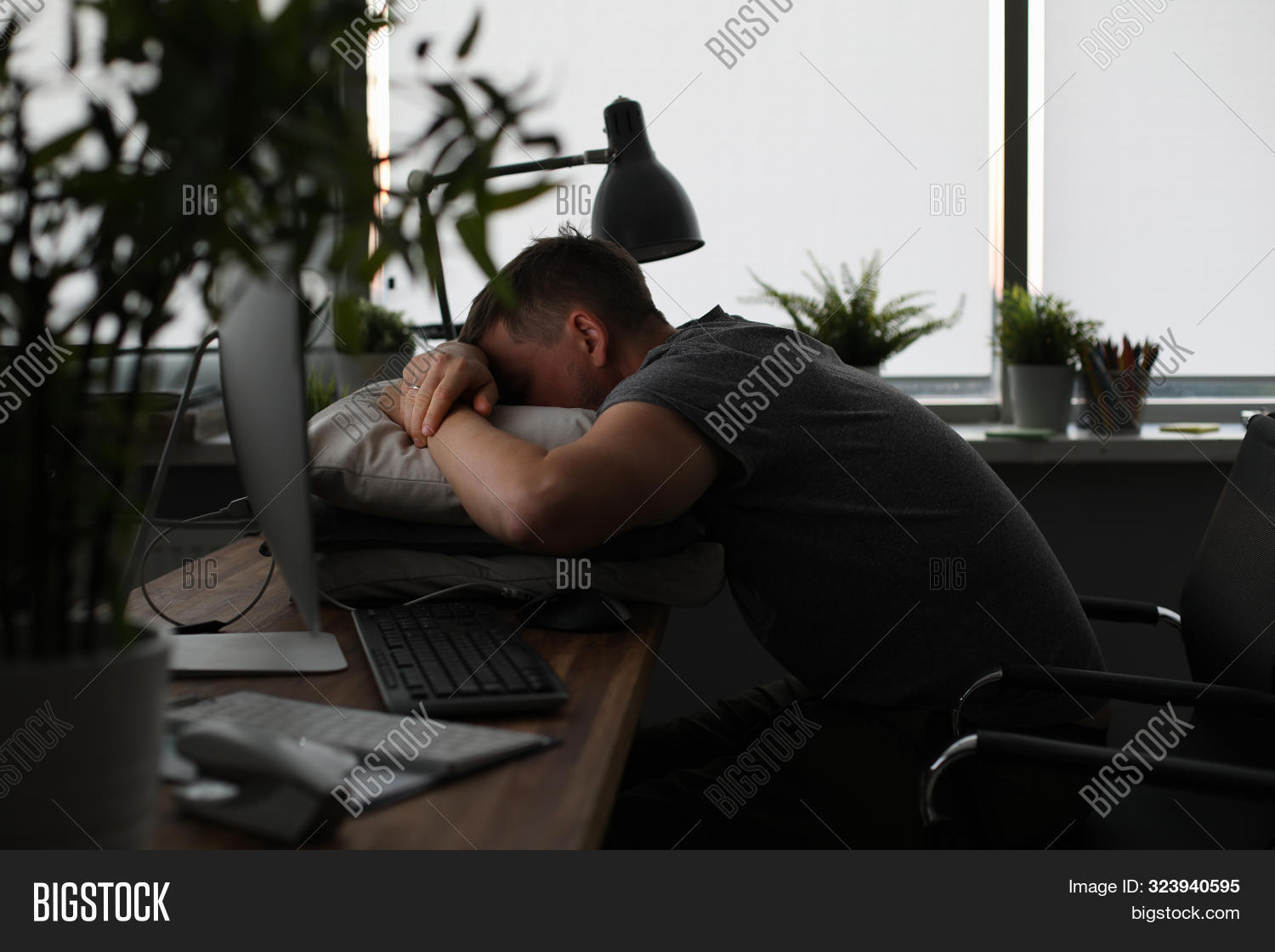 Sleeping Man At Work