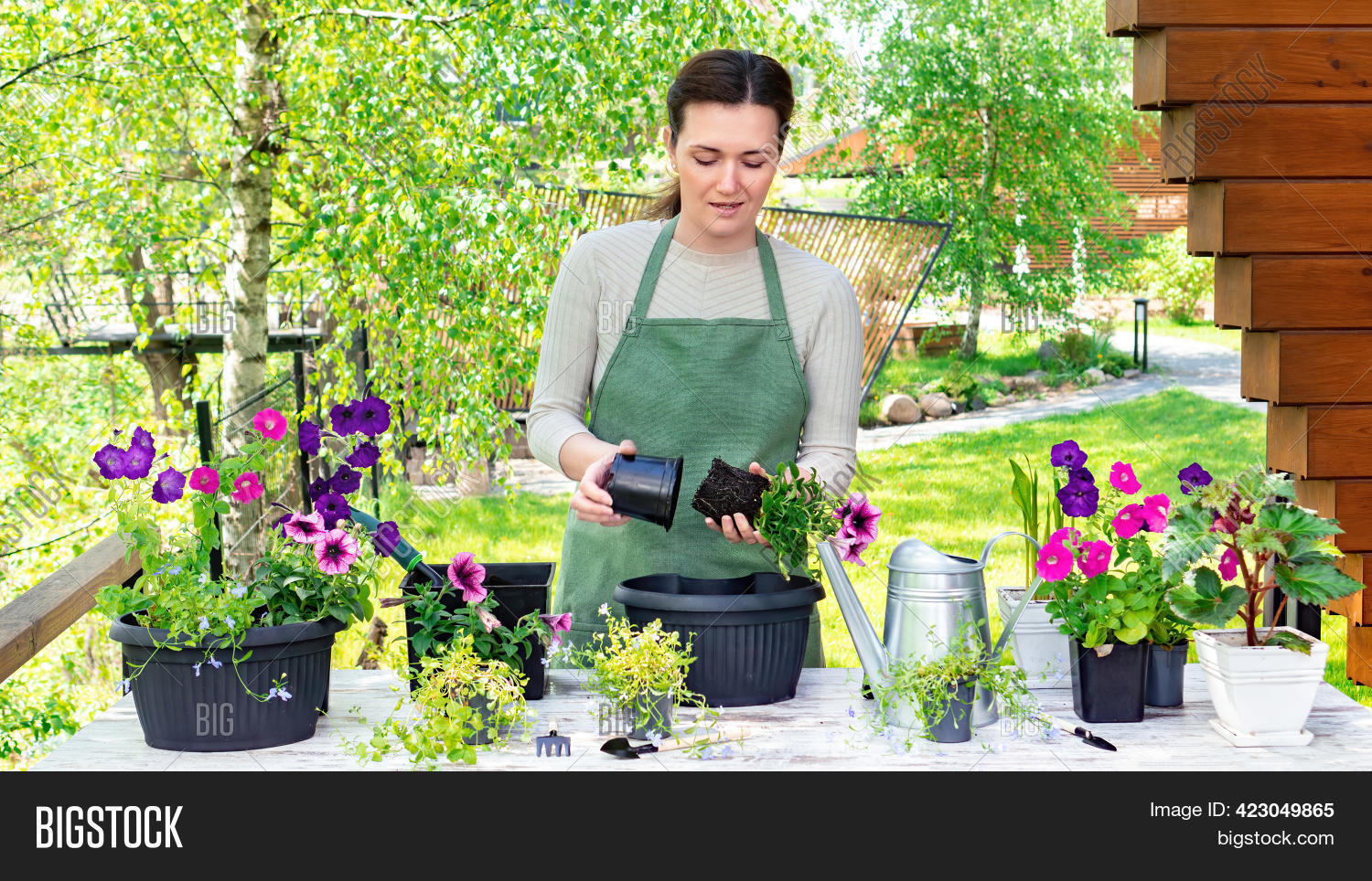 Woman Gardener Takes Image & Photo (Free Trial) | Bigstock