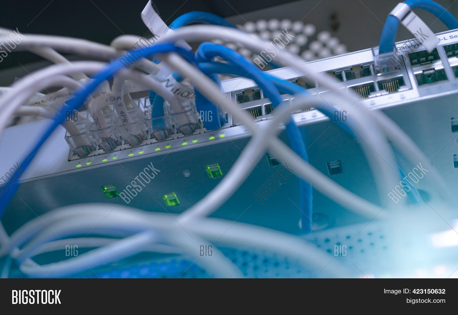Network Switch Image & Photo (Free Trial) | Bigstock