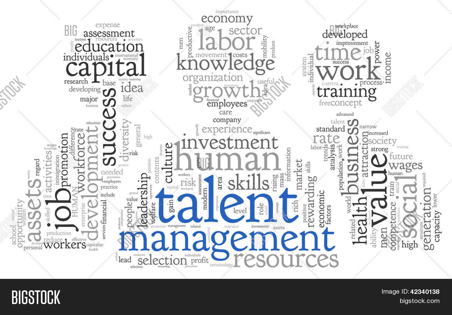 Talent Management Image & Photo (Free Trial) | Bigstock
