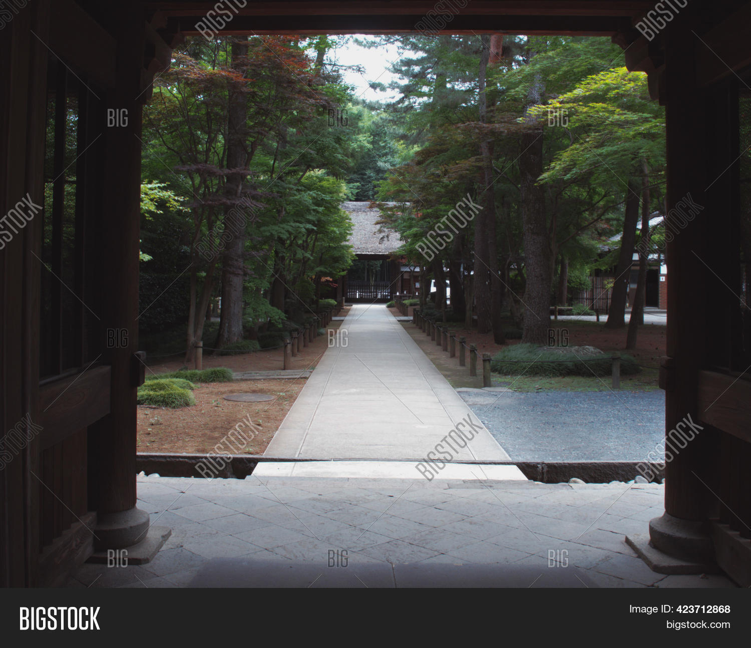 Shinto Shrine Japan Image & Photo (Free Trial) | Bigstock