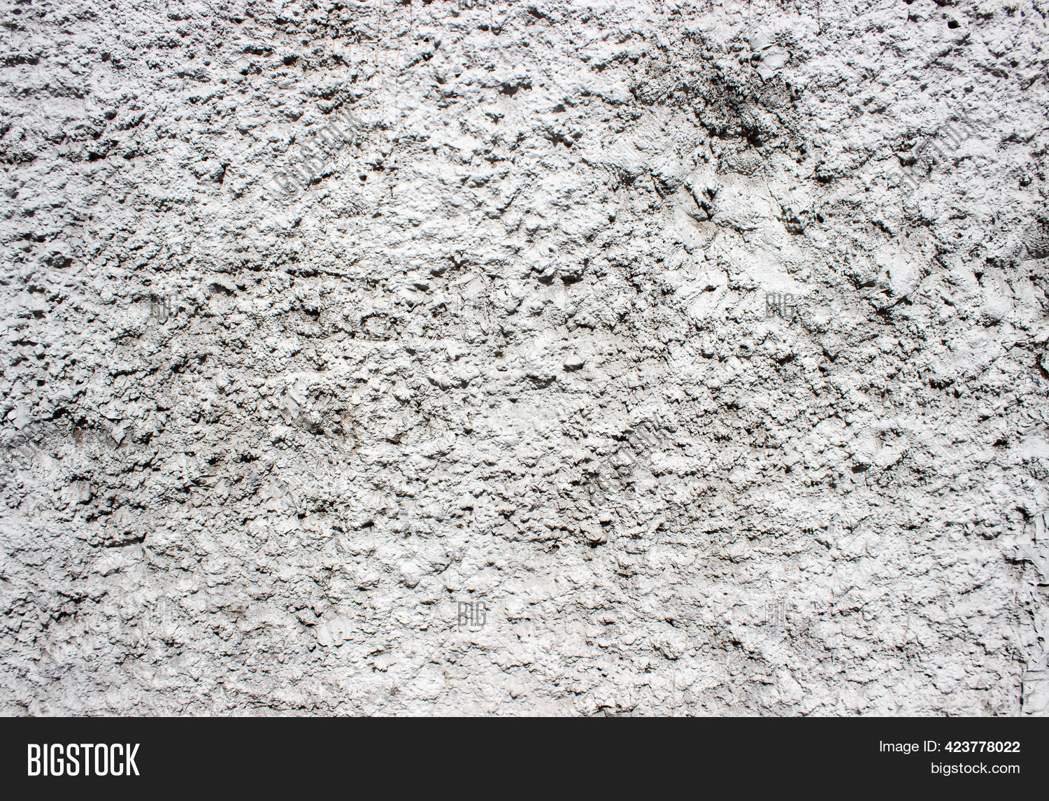 Wall Covered Coarse Image & Photo (Free Trial) | Bigstock