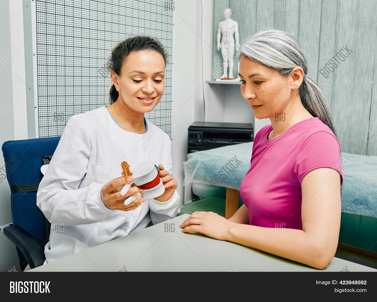Osteopath Shows Types Image & Photo (Free Trial) | Bigstock
