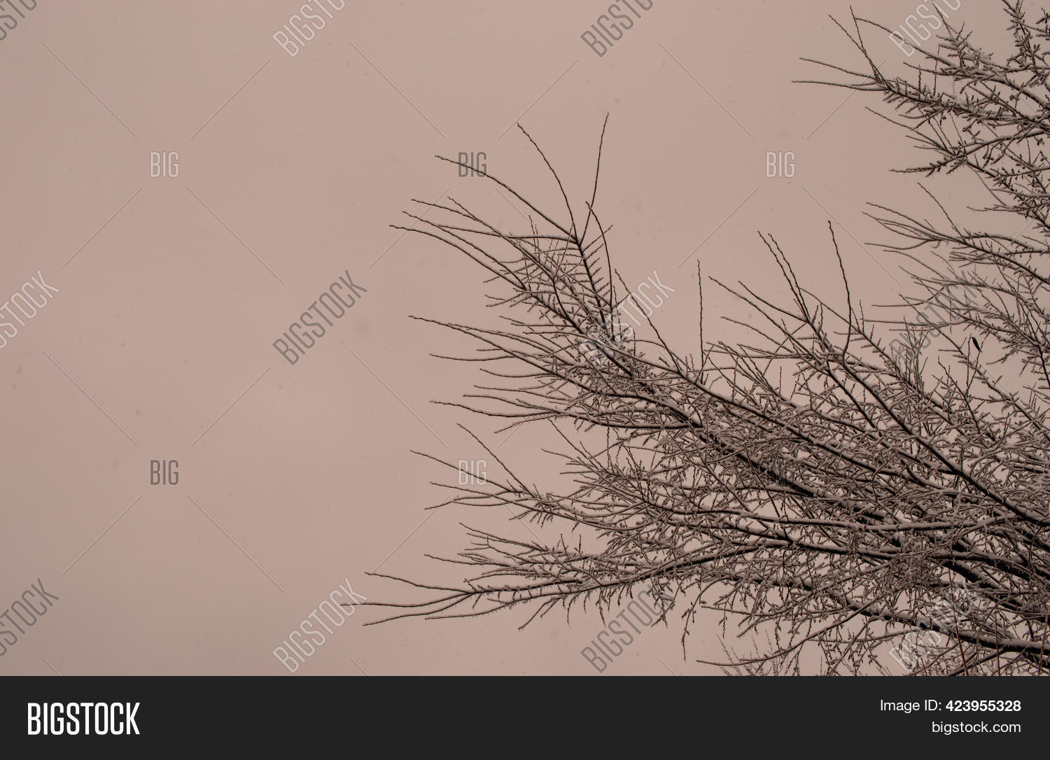 Motion Faint Snow Image & Photo (Free Trial) | Bigstock
