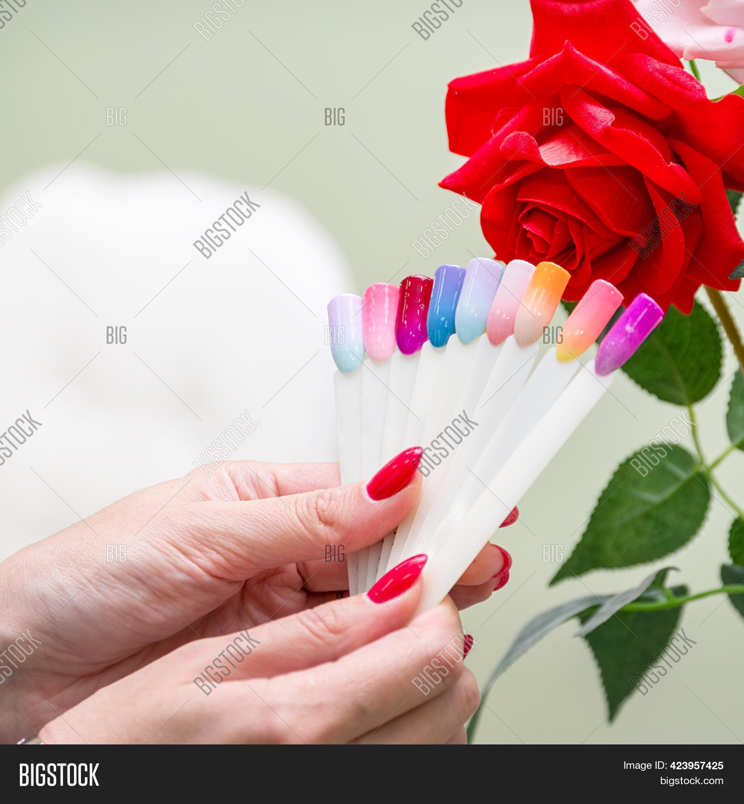 Multi-colored Samples Image & Photo (Free Trial) | Bigstock