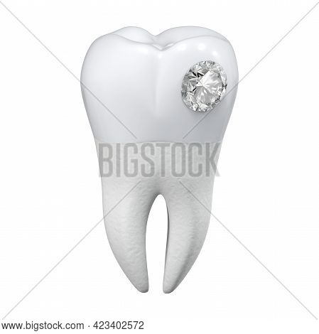 Large Molar Tooth Image & Photo (Free Trial) | Bigstock