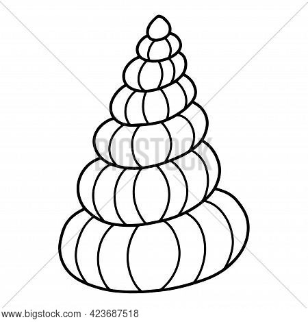 Seashell Hand-drawn Vector & Photo (Free Trial) | Bigstock