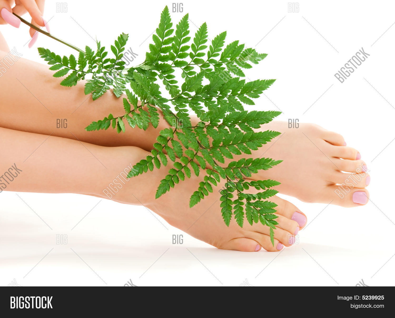 Female Feet Green Leaf Image & Photo (Free Trial) | Bigstock