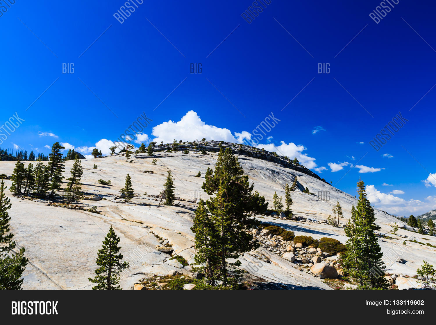 Tioga Pass, Yosemite Image & Photo (Free Trial) | Bigstock