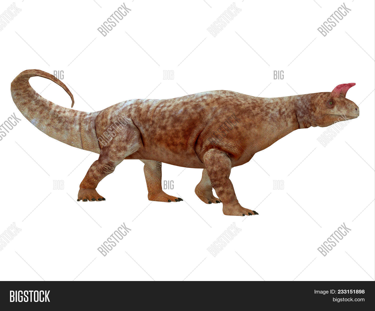 Shringasaurus Dinosaur Image & Photo (Free Trial) | Bigstock
