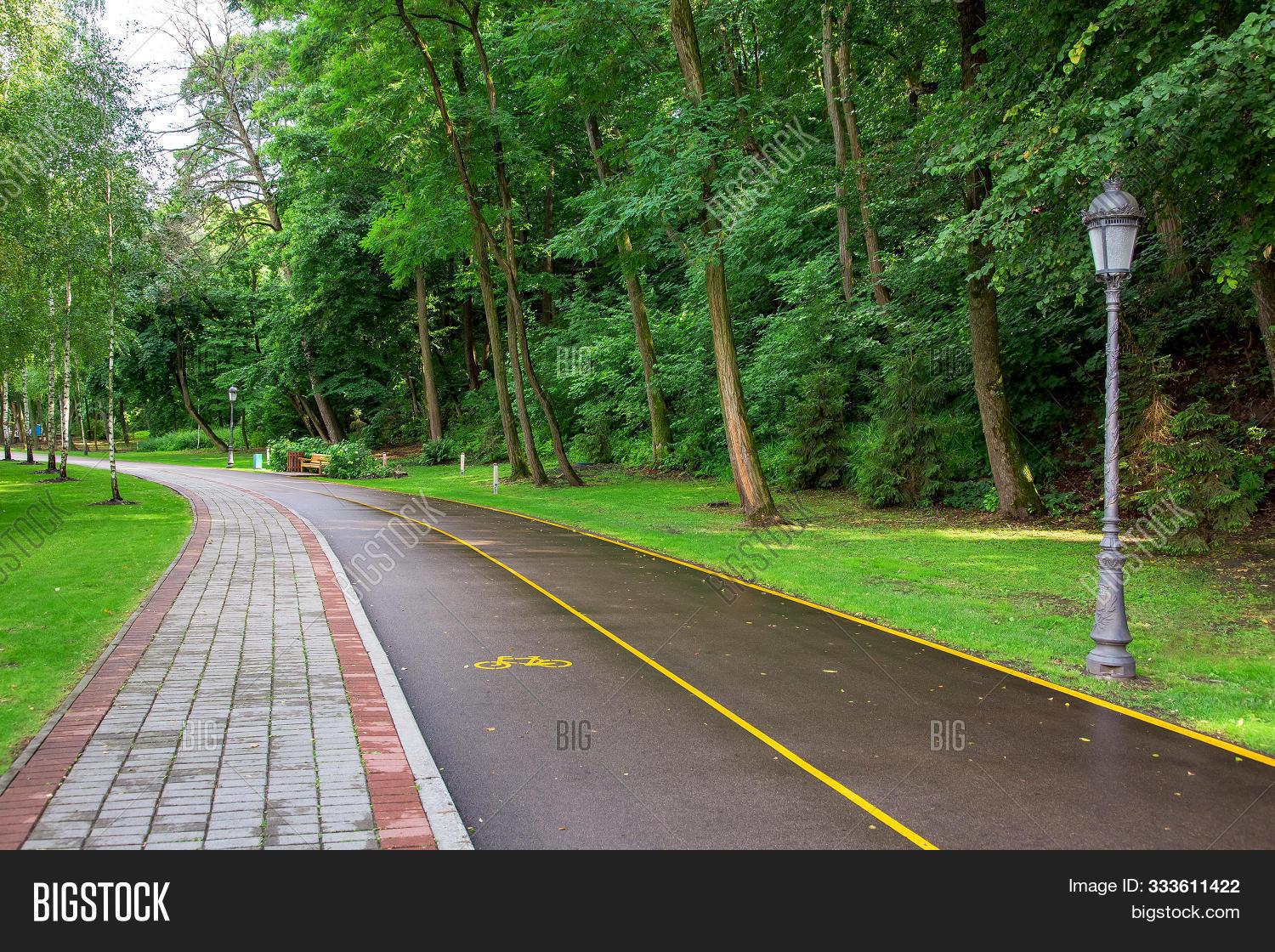 Asphalt Bike Path Image & Photo (Free Trial) | Bigstock
