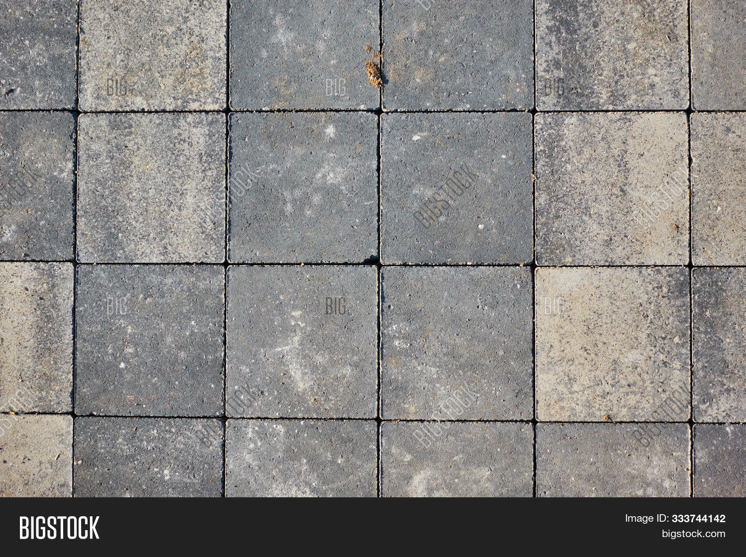 Imagem e foto de Paving (avaliação gratuita) | Bigstock
