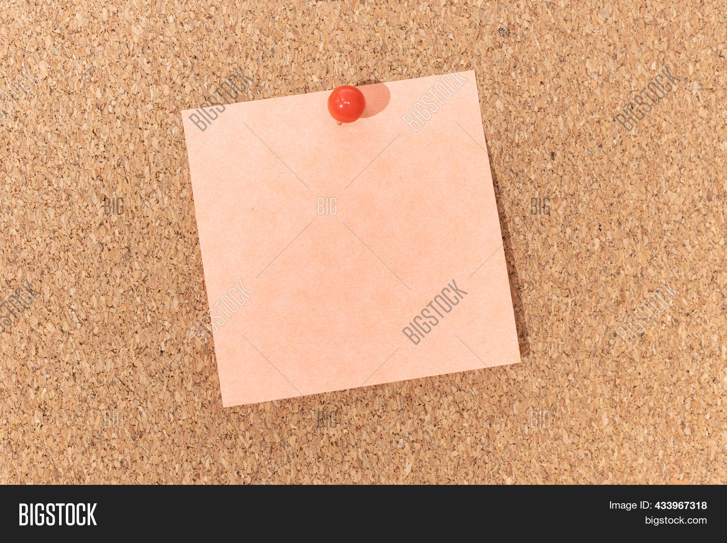 Blank Note Push Pin On Image & Photo (Free Trial) | Bigstock