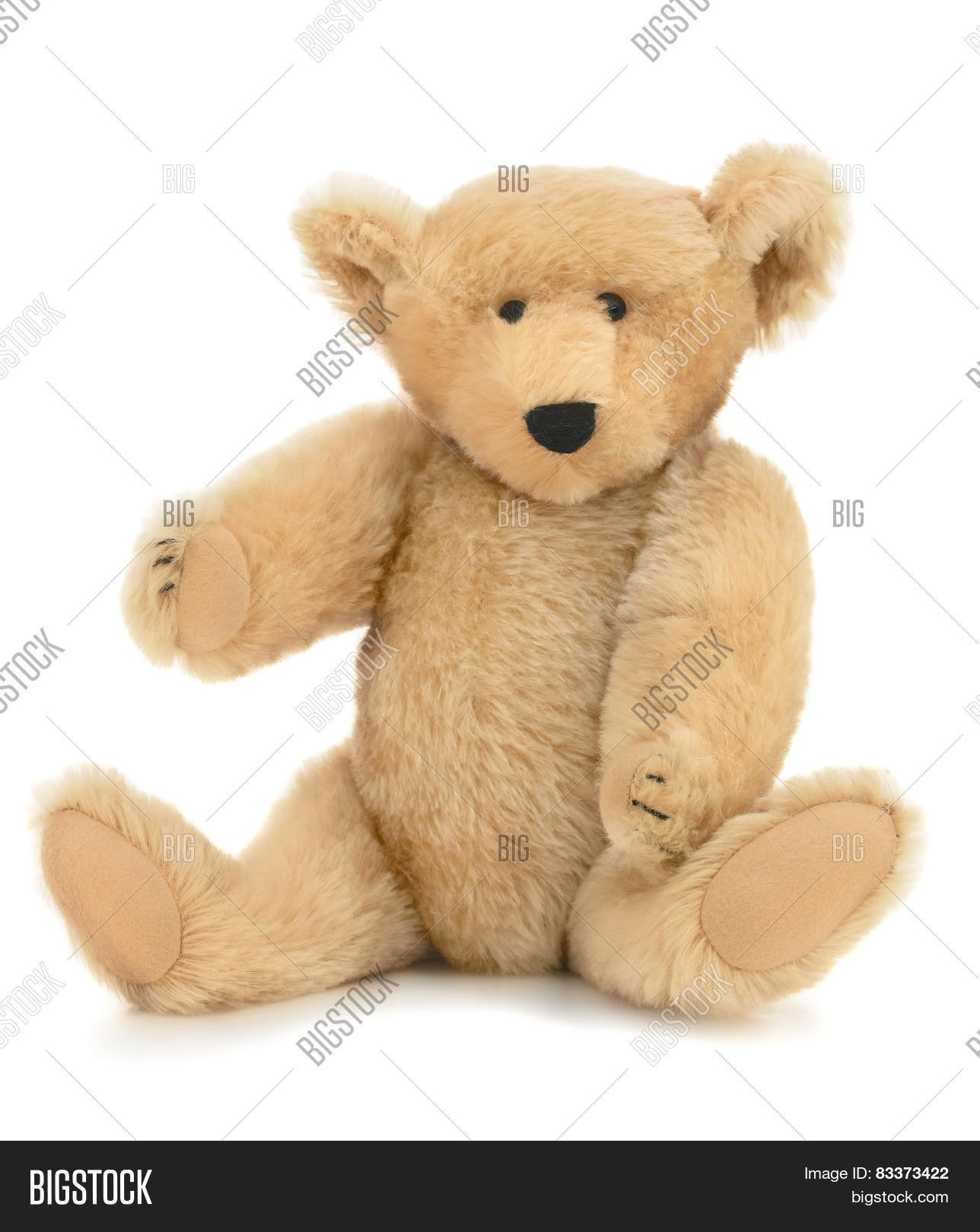 Teddy Bear Image & Photo (Free Trial) | Bigstock