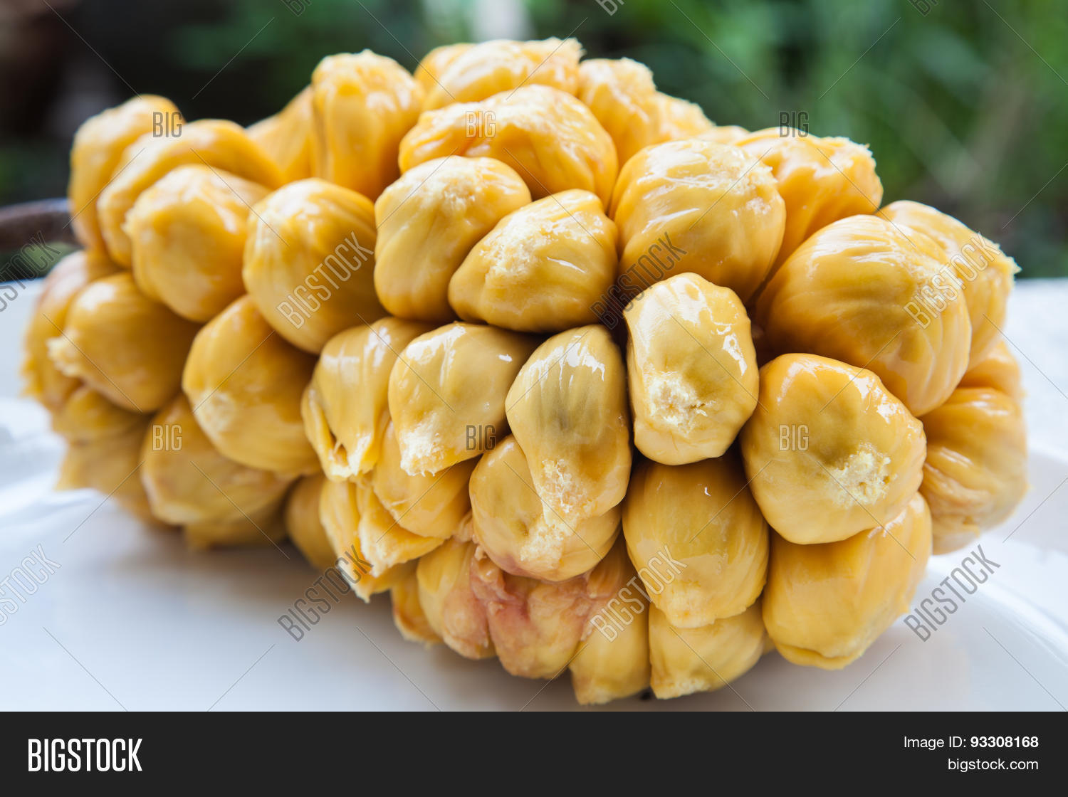 Group Fresh Chempedak Image & Photo (Free Trial) | Bigstock